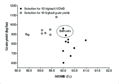 Effect Of First Choice In Multi Trait Selection Grain Yield Versus Download Scientific