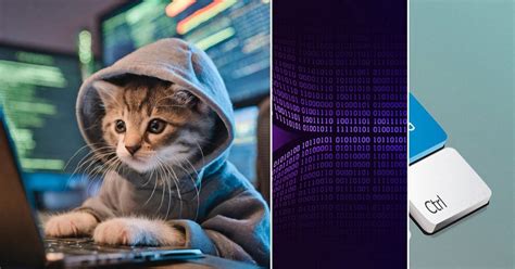 List Nmap And Metasploitable Curated By Val R Medium List Nmap And Metasploitable Curated By Val R Medium