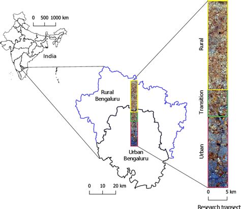 Figure 1 From Large Scale Palm Tree Detection In High Resolution Satellite Images Using U Net