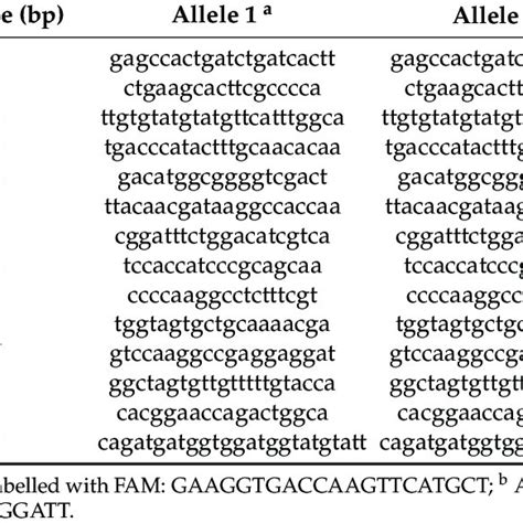 Kasp Markers Used To Generate A Genetic Linkage Map Of Aus27352avs Ril