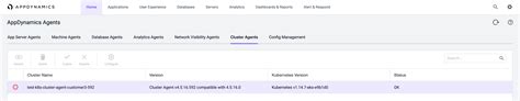 use the cluster agent