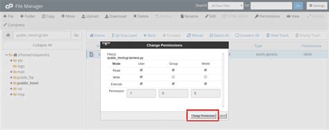 How To Run Python Scripts In CPanel HostOnNet Com