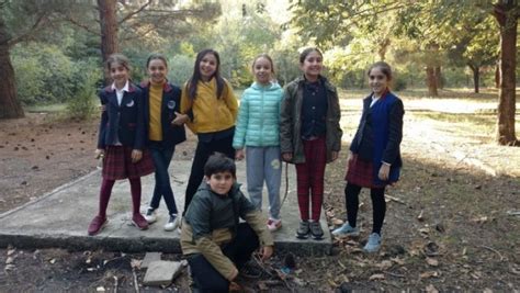 დასვენება ბუნებაში