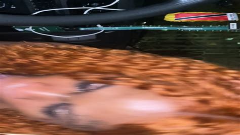 Hood Rat Neck Eporner Hood Rat Neck Eporner