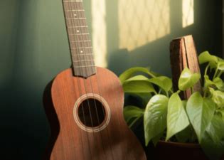 57 Science Project Ideas For 6th Grade