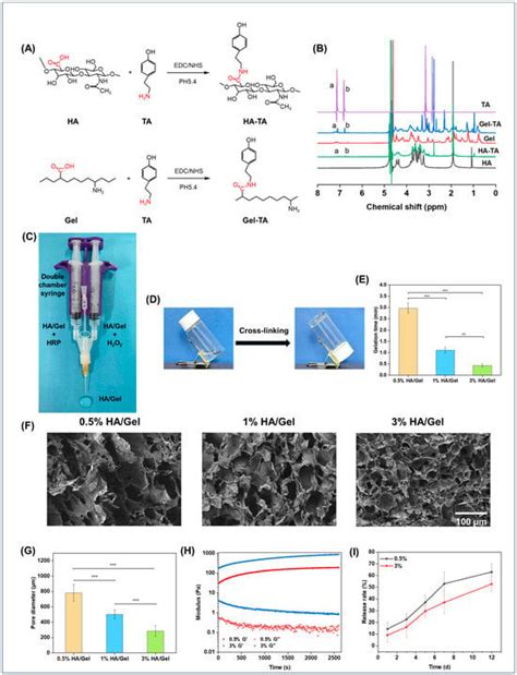 Injectable Hydrogels Based On Hyaluronic Acid And Gelatin Combined With Salvianolic Acid B And