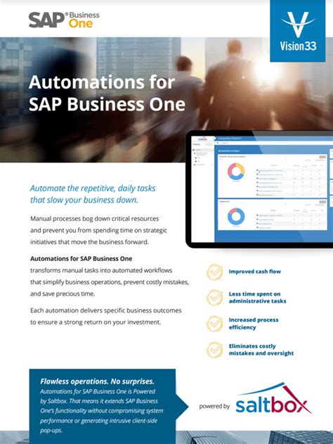 Sap Business One Automations Vision33