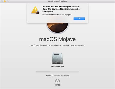 How To Check Macos Installer App No Error Naturaltree