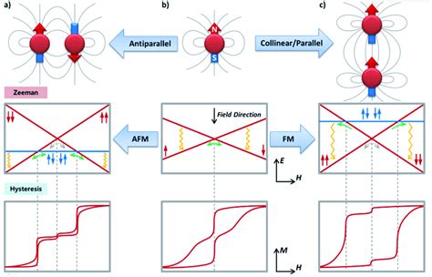The Dipolar Couplings Between Two Neighbouring Spin Centres With Strong Download Scientific
