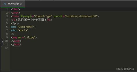 我的第一个php页面php初始页面 Csdn博客