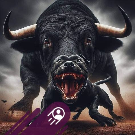 Төмөрбаатар Архи их уугаад байгаа хүмүүст хандаж хэлэхэд “Нойр булчирхай” тань өвдөөд ийм