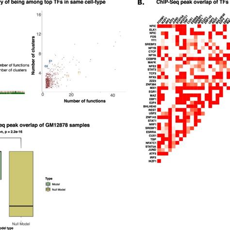 Insight Into The Co Occurrence Of Transcription Factor Tf Pairs Among