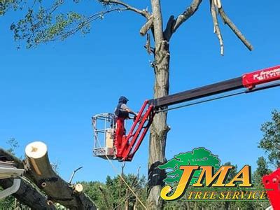 Commercial Tree Removal Service JMA Tree Service