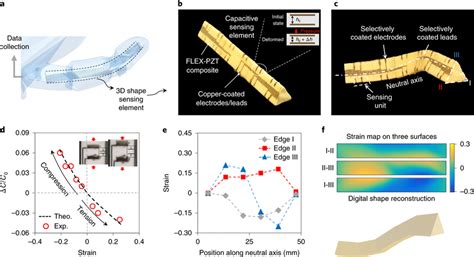 3d Shape Sensor Obtained By Means Of Selective Electrode Deposition A Download Scientific