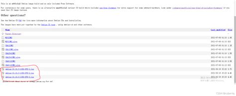 debian10完整挂载镜像 debian10镜像下载 csdn博客
