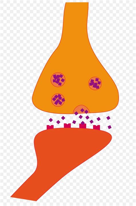 Synapse Neurotransmitter Brain Clip Art, PNG, 770x1241px, Synapse, Brain, Diffusion, Drawing ...