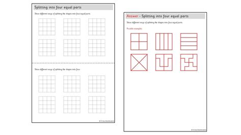 Splitting Into Four Equal Parts Investigation Primary Stars Education