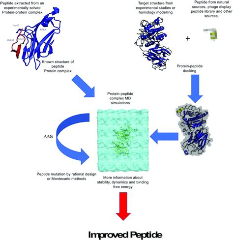 Schematic Representation Of A Computational Pipeline For Peptide Download Scientific Diagram