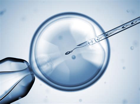 How Does IUI Work ORM Fertility