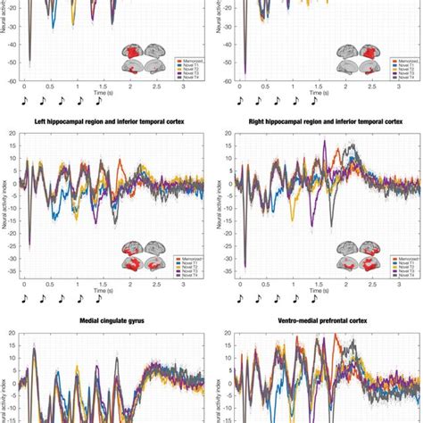 Brain Activity Evoked Responses Depicted For Each Roi And Download Scientific Diagram