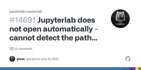 jupyterlab does not open automatically cannot detect the path of the