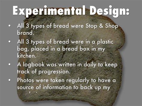 Bread Mold By Luke Berge