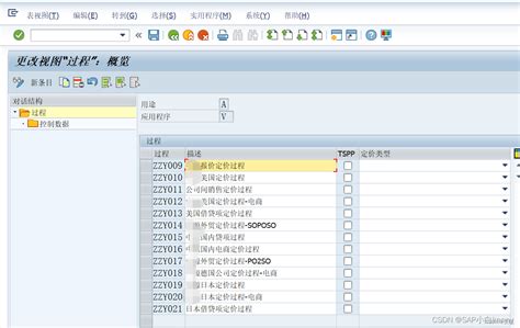 sap 定价过程 sap定价 csdn博客