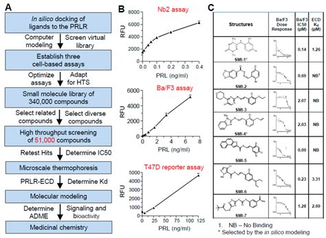 Strategy For High Throughput Screening Hts And Molecular Download Scientific Diagram