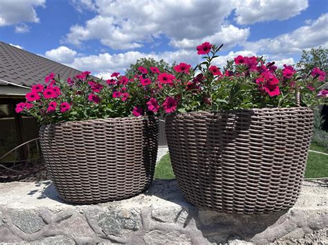 Кашпо з ротангу — ціна 350 грн у каталозі Кашпо Купити товари для дому та побуту за доступною