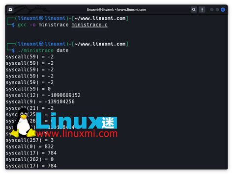 使用 Strace 命令了解 Linux 系统调用 Linux迷