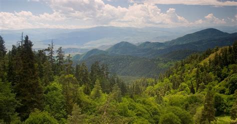 როგორი იქნება ბირთვისის ციხისა და კანიონის მიმდებარედ ტურისტული ინფრასტრუქტურა Kalaki Ge