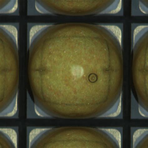 Fault Object Detection Dataset And Pre Trained Model By Wafer