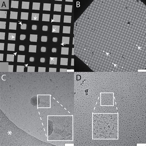 Miniaturized Sample Preparation For Transmission Electron Microscopy