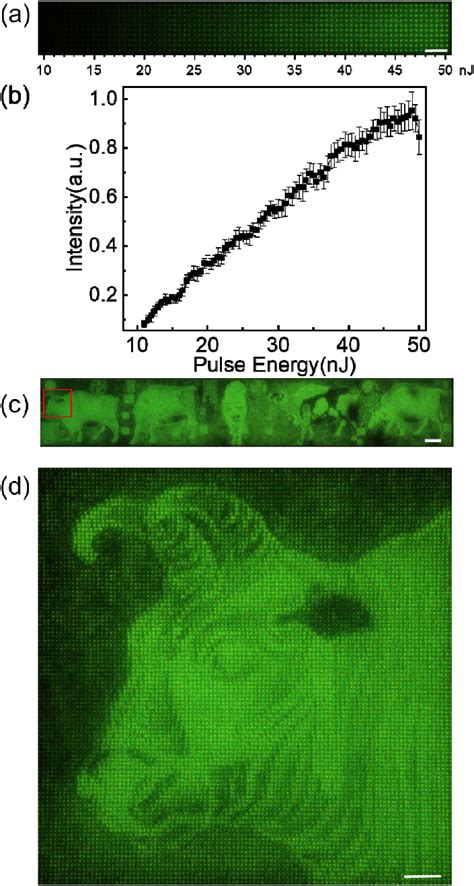 a confocal fluorescence microscopy image of recording voxel array
