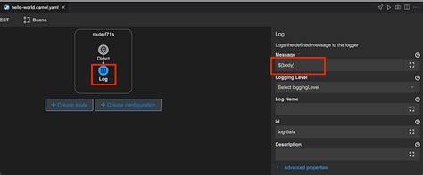 Create The Camel Integration Route And The Rest Api Service How To