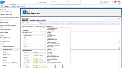 salesforce authenticated user permission requirements for archive own
