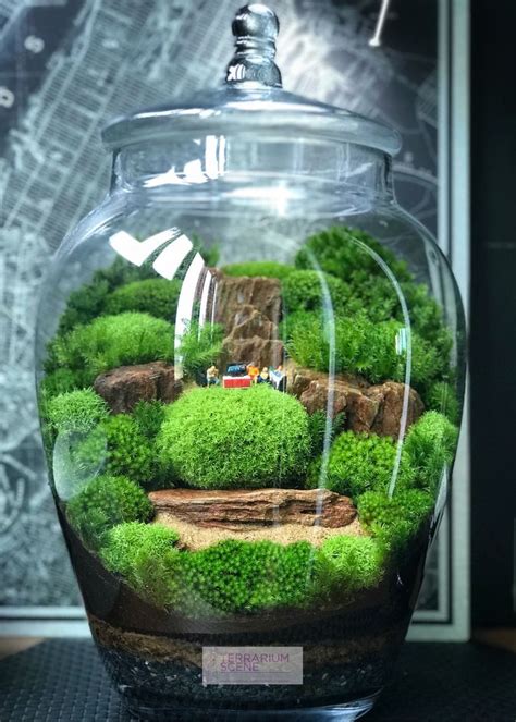 Terrarium Scene 76d 2024 테라리움 작은 집 수제 얼굴 마스크