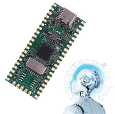PER RISC V MILK V 1G CV1800B TPU RAM DDR2 64M Scheda Linux H Sviluppo Y8K9 EUR 10 39 PicClick IT