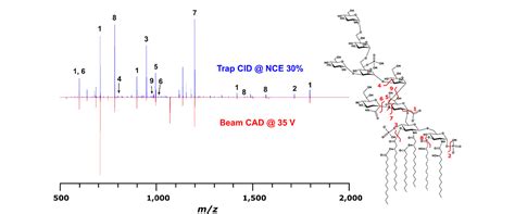 Researchers Demonstrate Method For Analyzing Molecules From Bacteria Cell Walls Maglab