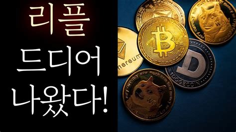 📕 리플 긴급 드디어 나왔다 Youtube