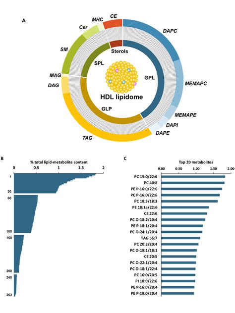 a overview of lipid constituents of hdl from healthy population at