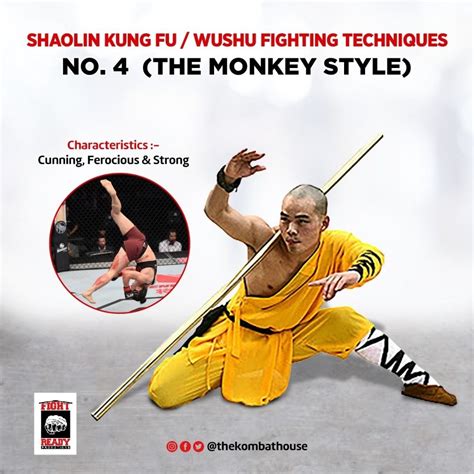 Shaolin Kung Fu Techniques