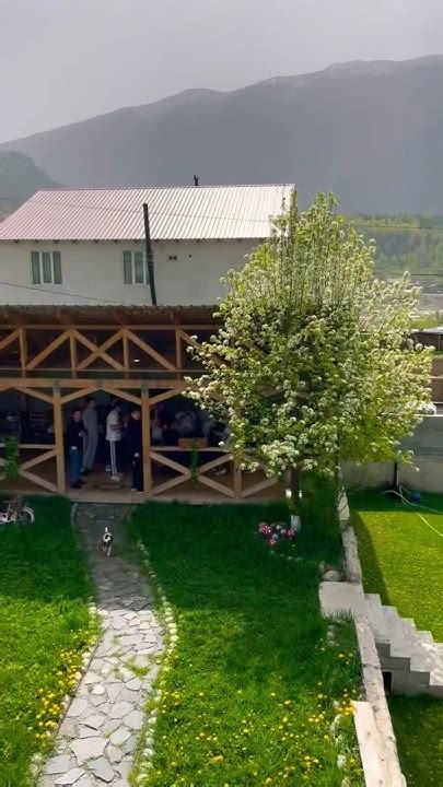 სვანეთი ️🇬🇪 Youtube