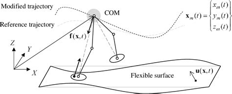 Figure 4 From Simple Human Structure Interaction Model Of Walking On A