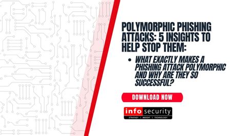 Infosecurity Magazine Linkedin‘de Polymorphic Phishing Attacks 5