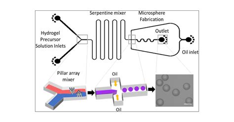 Microfluidic Chip Device For In Situ Mixing And Fabrication Of Hydrogel