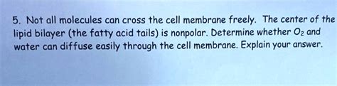 solved 5 not all molecules can cross the cell membrane freely the
