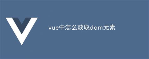 vue中怎么获取dom元素 叮当号