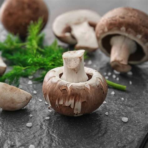 12 Types Of Mushrooms To Cook Next