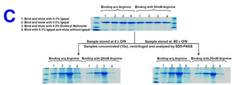 exploring the applications of phytip columns through many areas in